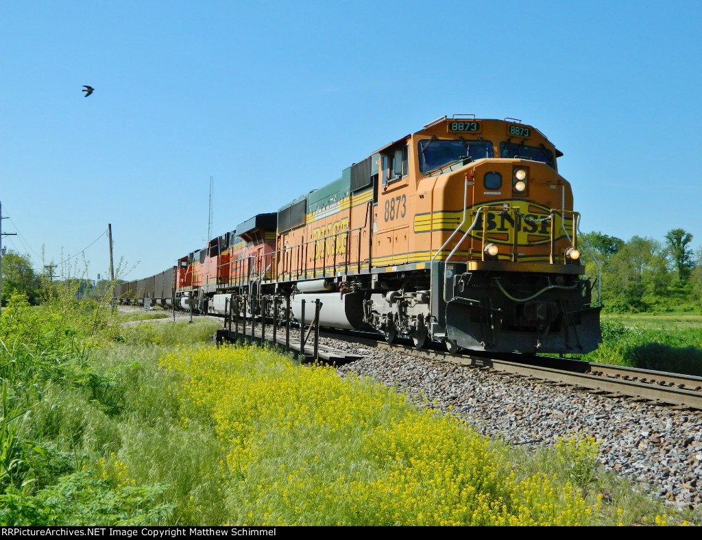 Spring Time On The K-Line